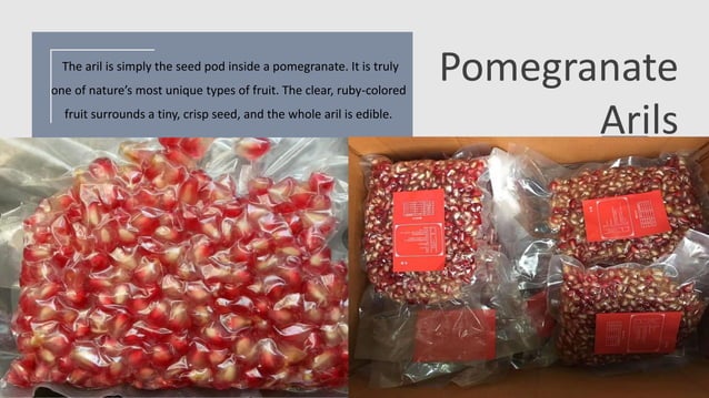 Pomegranate passionfruit prickly pear pulp separator from bway | PPT