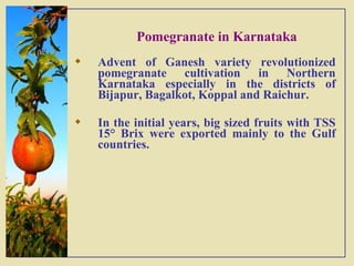 Pomegranate - Global Scenario | PPT