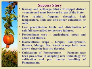 Pomegranate - Global Scenario | PPT