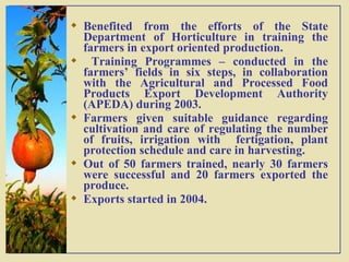Pomegranate - Global Scenario | PPT
