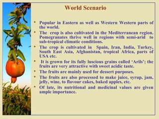 Pomegranate - Global Scenario | PPT