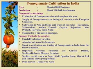 Pomegranate - Global Scenario | PPT