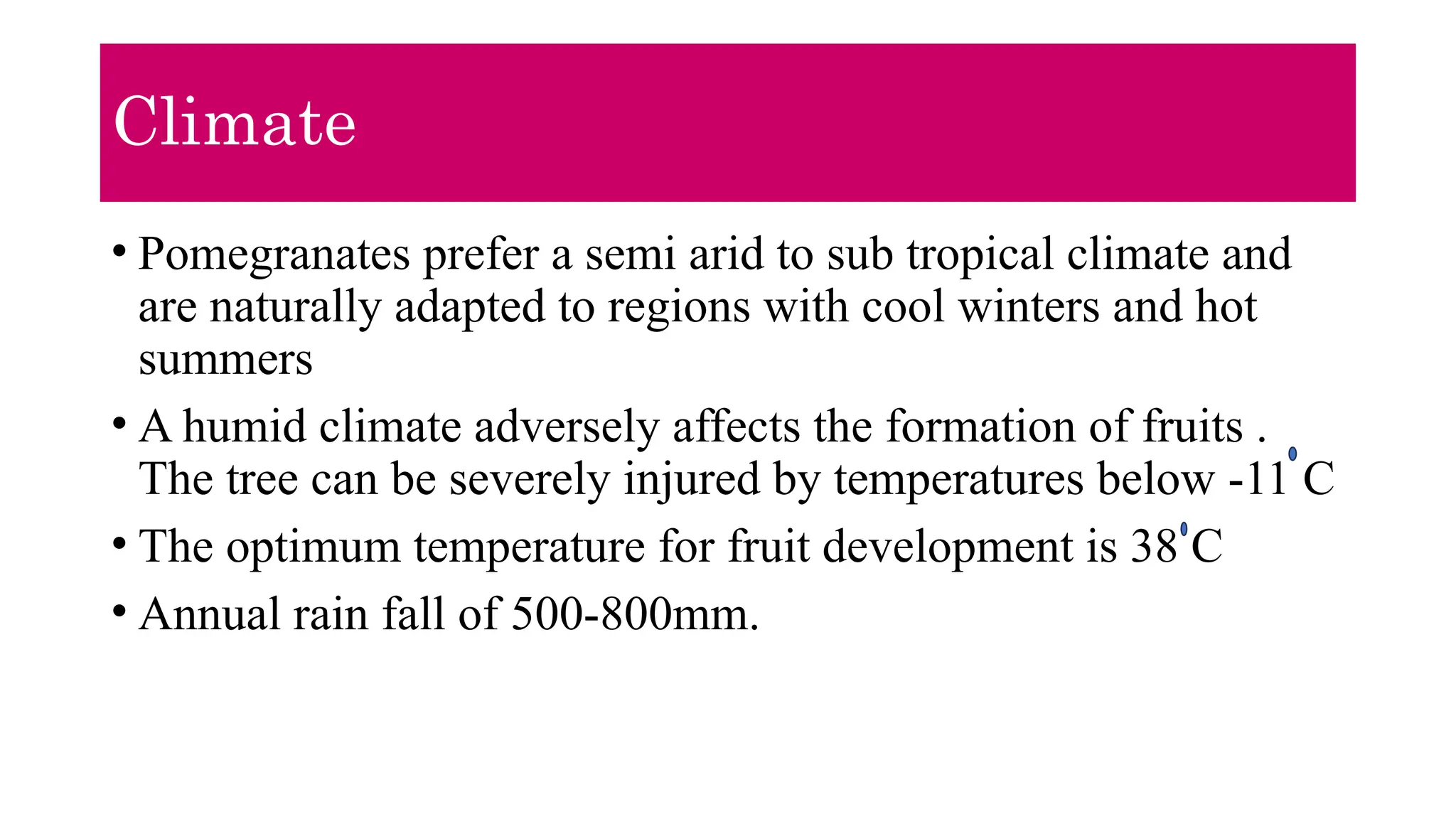 Production Technology of Pomegranate.pptx. | PPTX