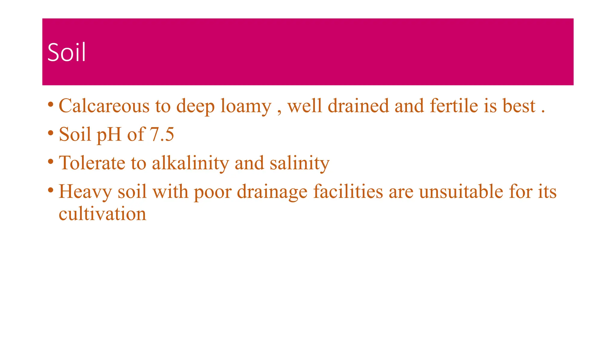 Production Technology of Pomegranate.pptx. | PPTX