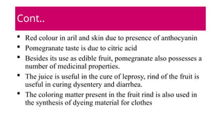 Production Technology of Pomegranate.pptx. | PPTX