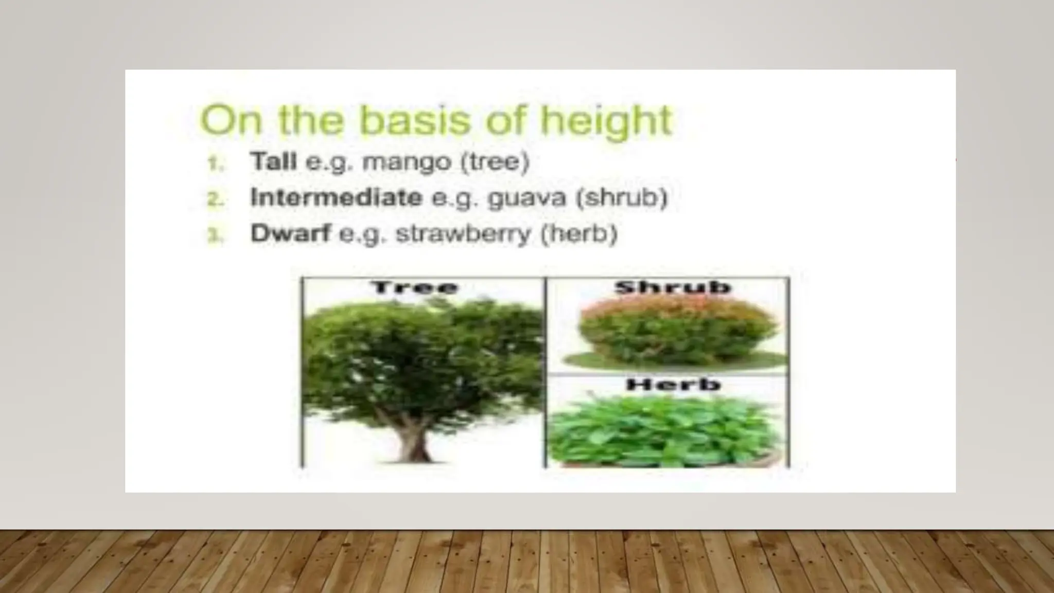 Pomology, Horticulture Plant Sciences.pptx