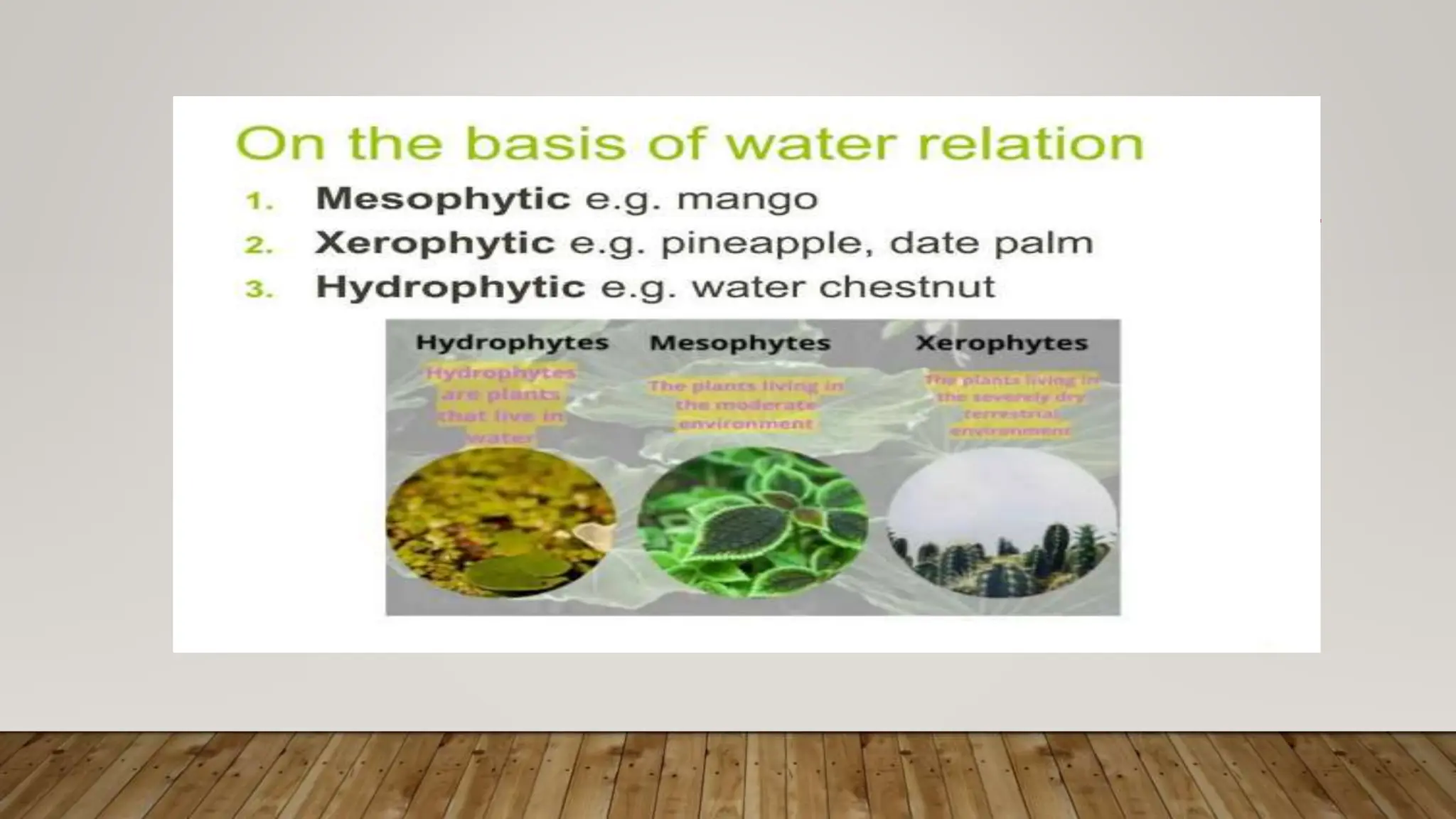 Pomology, Horticulture Plant Sciences.pptx