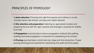 Pomology, Horticulture Plant Sciences.pptx