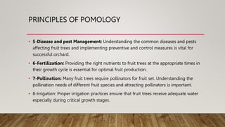 Pomology, Horticulture Plant Sciences.pptx