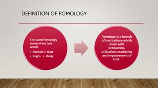 Pomology, Horticulture Plant Sciences.pptx