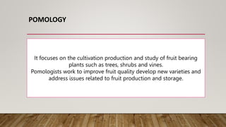 Pomology, Horticulture Plant Sciences.pptx
