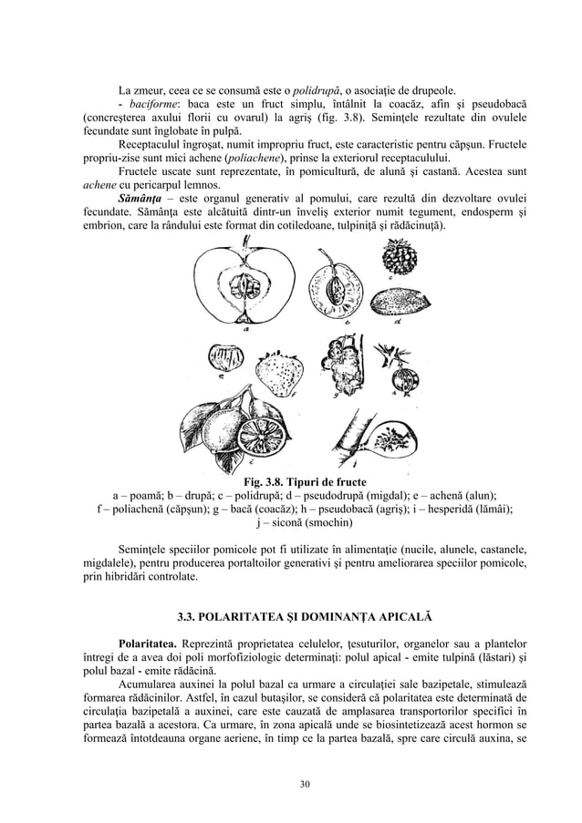 Pomicultura generala | PDF