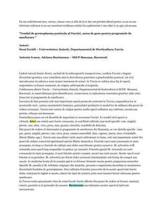 Pomi fructiferi | PDF