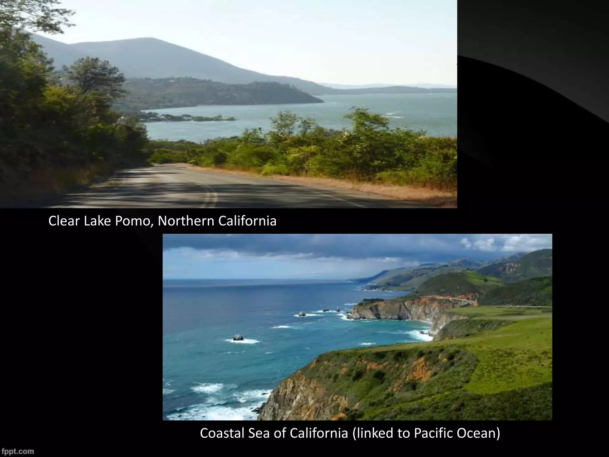 Native American People: Pomo Indian Tribe | PPTX