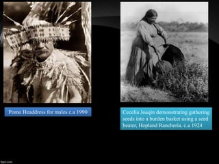 Native American People: Pomo Indian Tribe | PPTX