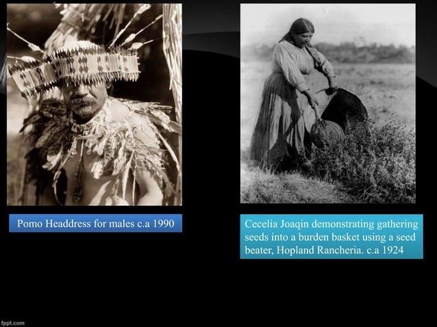 Native American People: Pomo Indian Tribe | PPT
