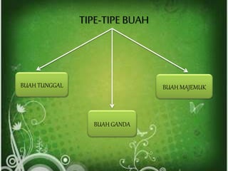 Pomologi (tanaman buah) | PPTX