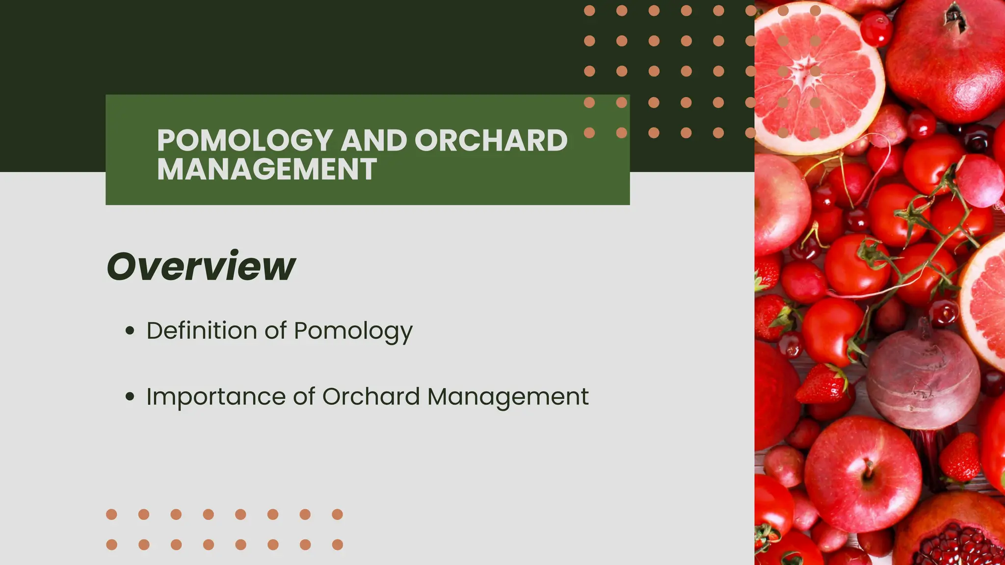 Pomology and Orchard Management: Study of Fruits | PDF