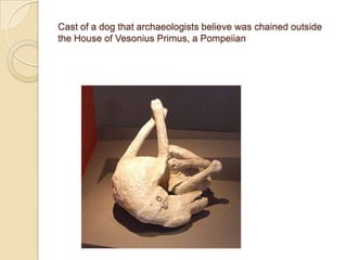 Pompeii | PPTX