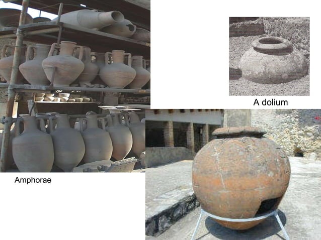 Pompeii Part 4: The Evidence | PPT