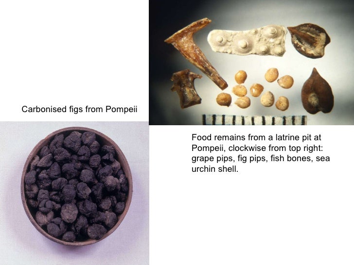 Pompeii Part 4: The Evidence