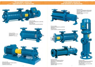 Pompe Travaini - Travaini pumps | PDF | Home Appliances | Home & Garden