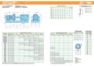Pompe Travaini - Travaini pumps | PDF | Home Appliances | Home & Garden