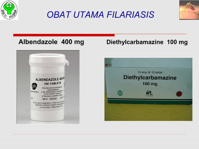 Pemberian Obat Massal Pencegahan (POMP) Filariasis | PPT