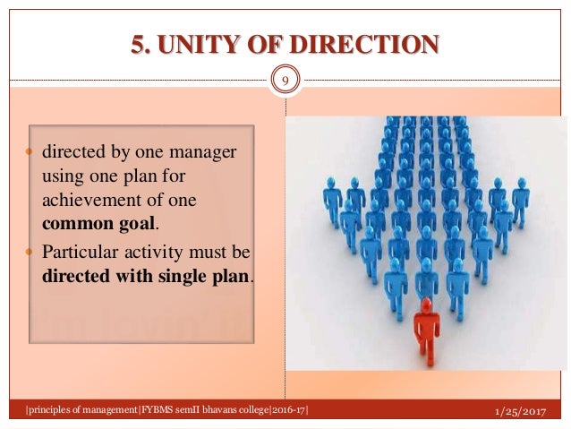 Unity Of Direction
