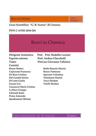 Bravi in Chimica | PDF