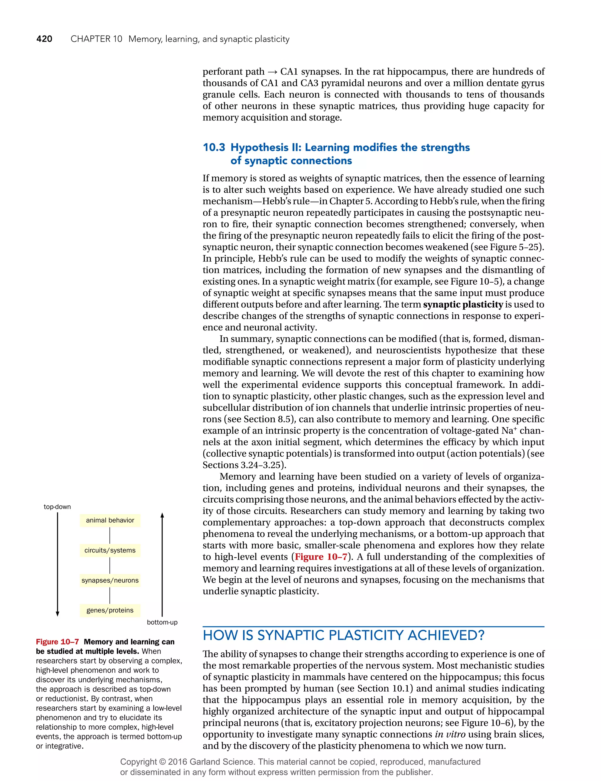 Memory, Learning, and Synaptic Plasticity 2015 | PDF