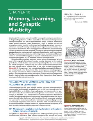 Memory, Learning, and Synaptic Plasticity 2015 | PDF
