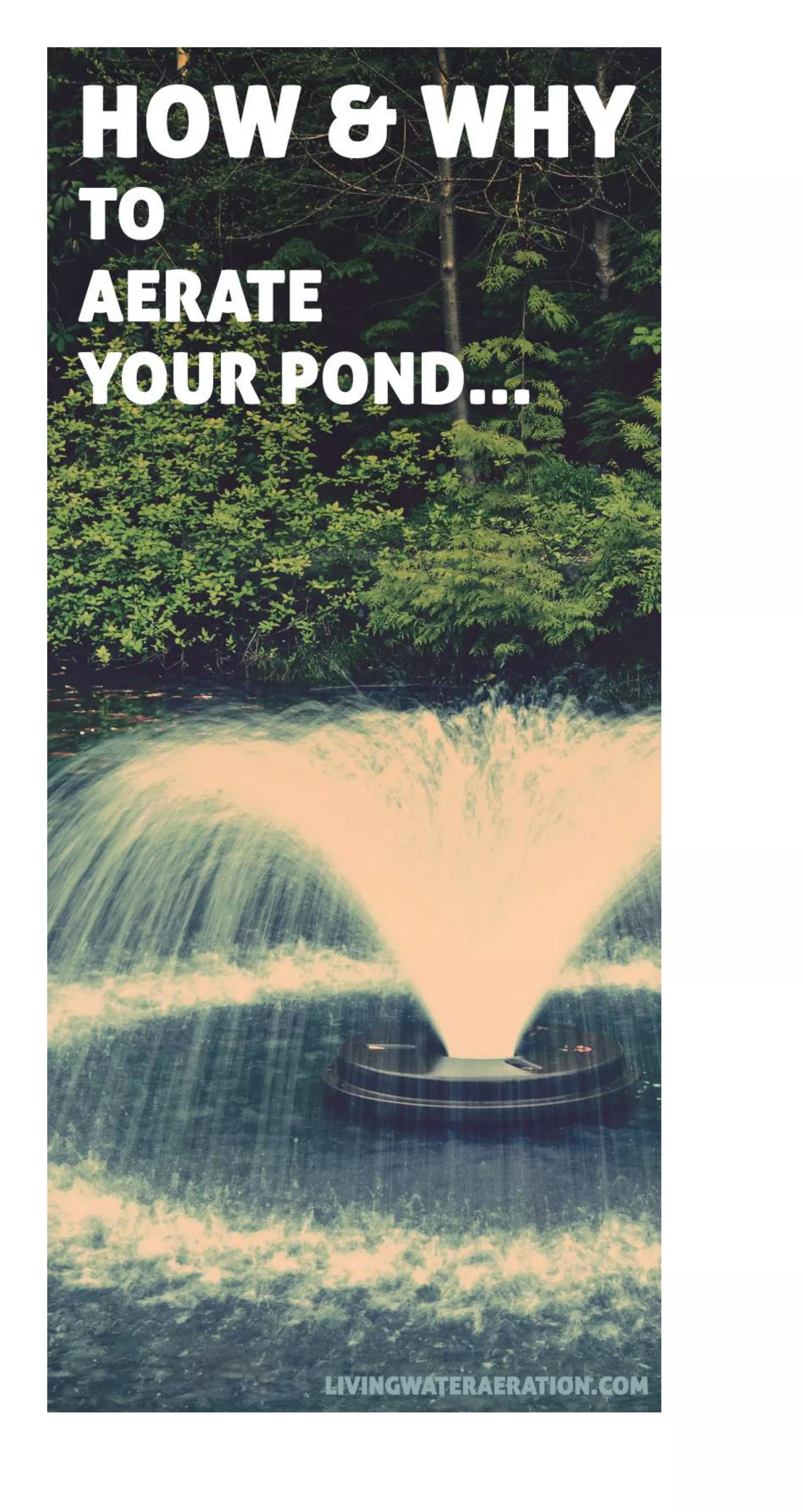 How and Why To Aerate Your Pond | DOCX