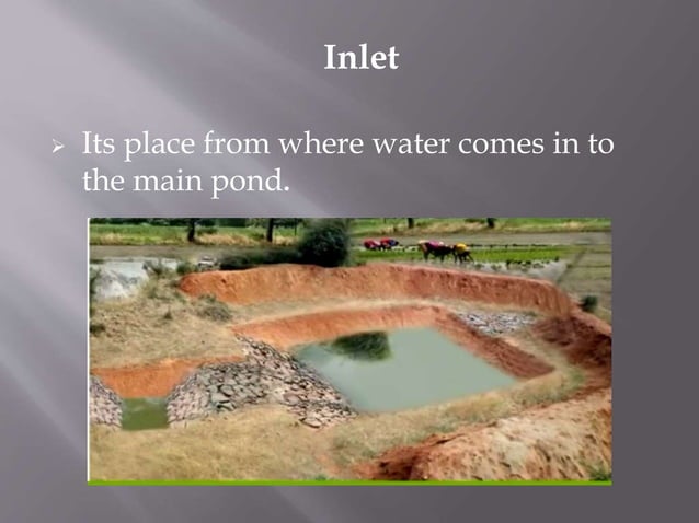 FARM POND DESIGN AND ITS COST ESTIMATION | PPTX