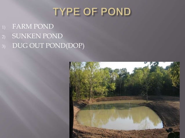 FARM POND DESIGN AND ITS COST ESTIMATION | PPTX