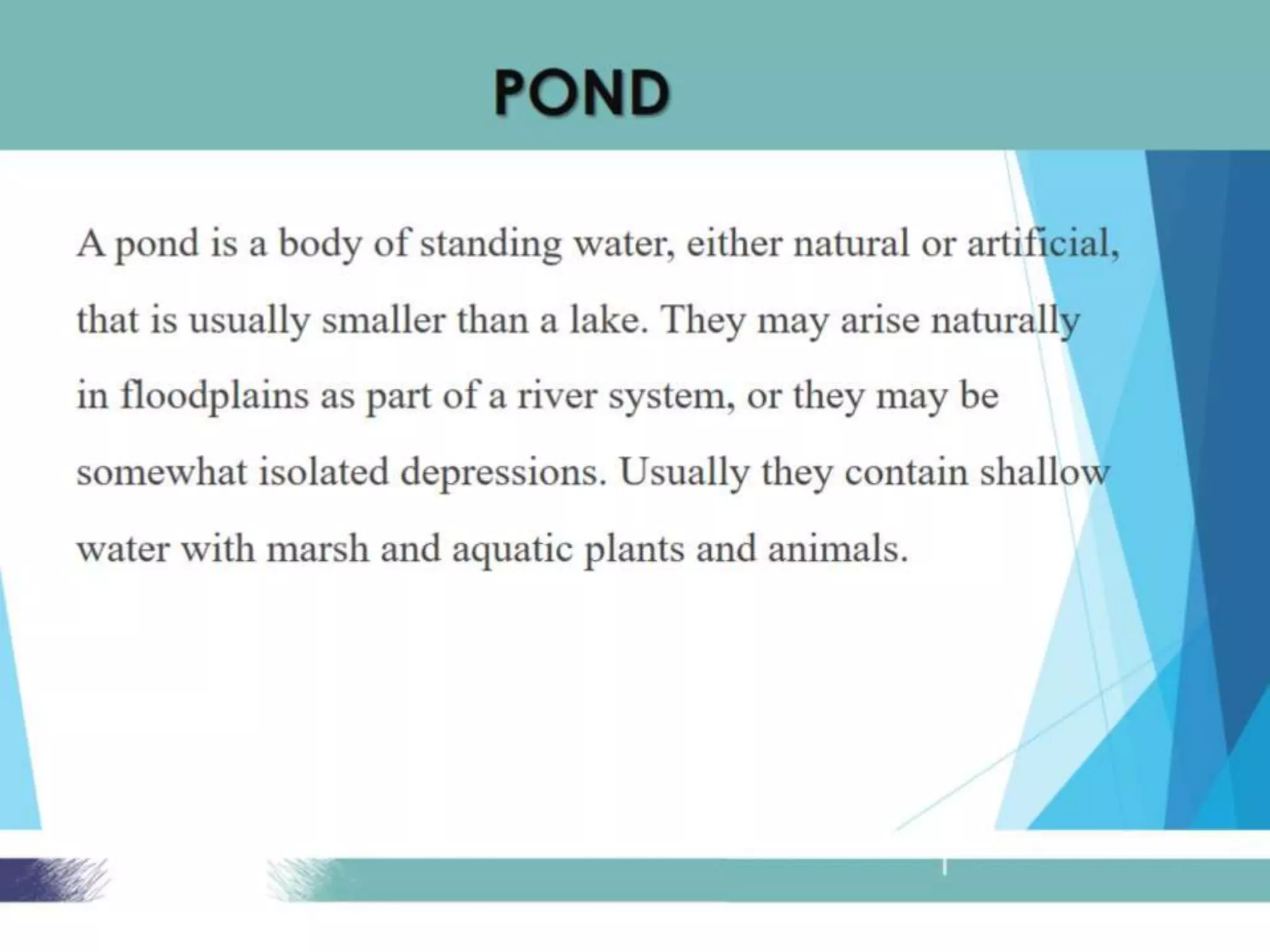 Pond, aquaculture and their types: an overview | PPTX