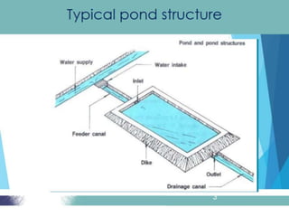 Pond, aquaculture and their types: an overview | PPTX