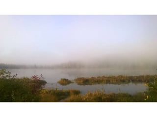 Pond atmospheres Photo Essay: A pond awakening from early morning fog ...