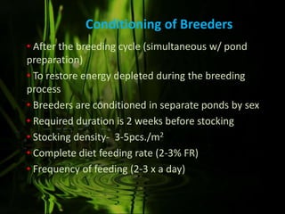 Pond Based Tilapia Hatchery Management.pptx
