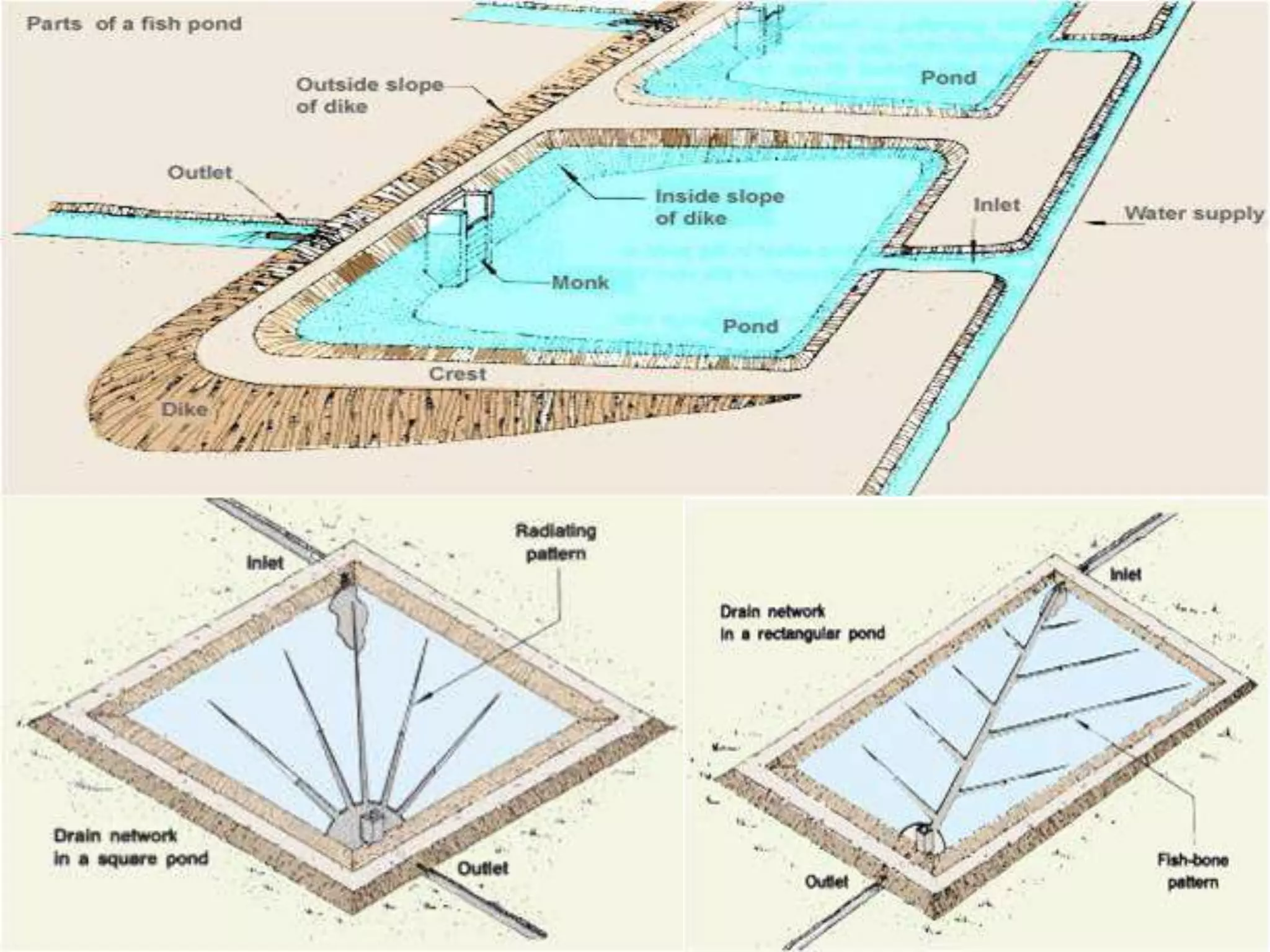 CONSTRUCTION OF FISH POND | PPTX