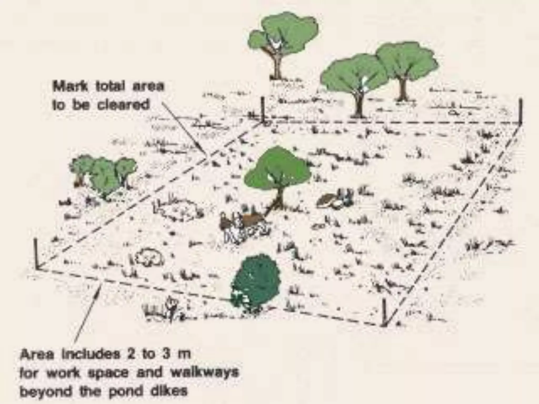 CONSTRUCTION OF FISH POND | PPTX