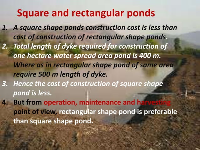 CONSTRUCTION OF FISH POND | PPTX