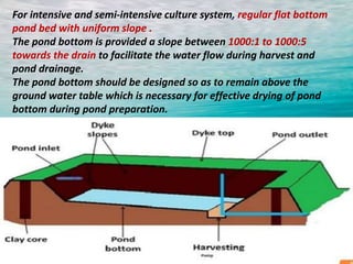 CONSTRUCTION OF FISH POND | PPTX