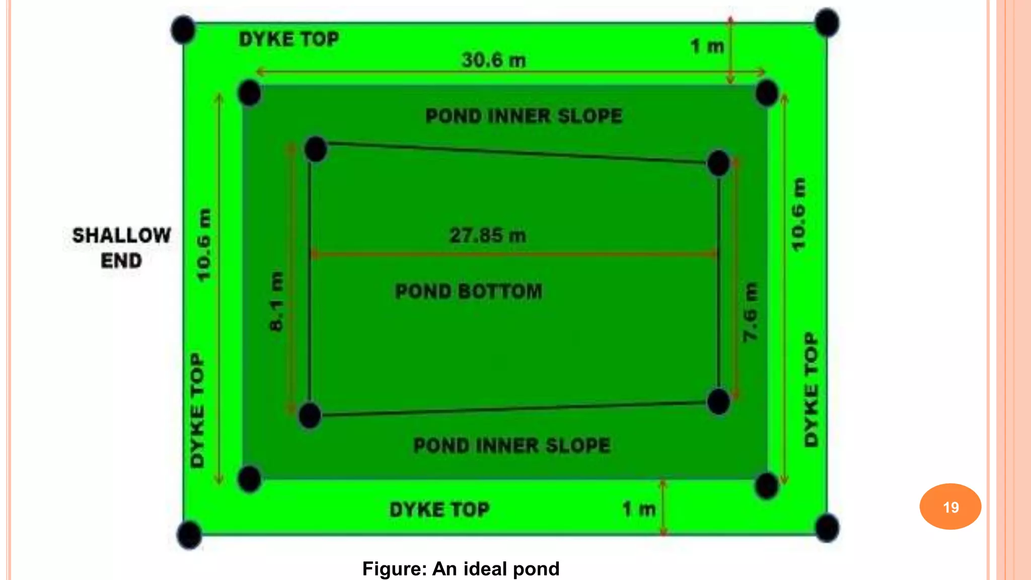 CONSTRUCTION OF FISH POND | PPTX