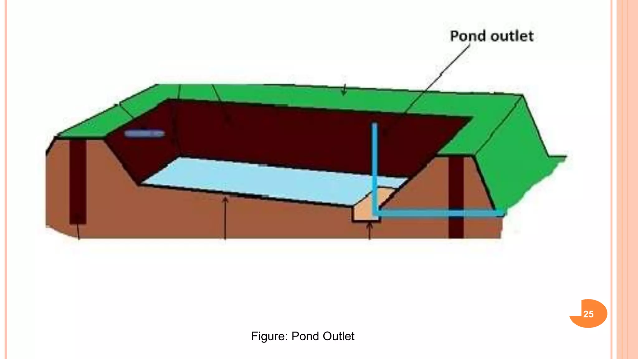 CONSTRUCTION OF FISH POND | PPTX
