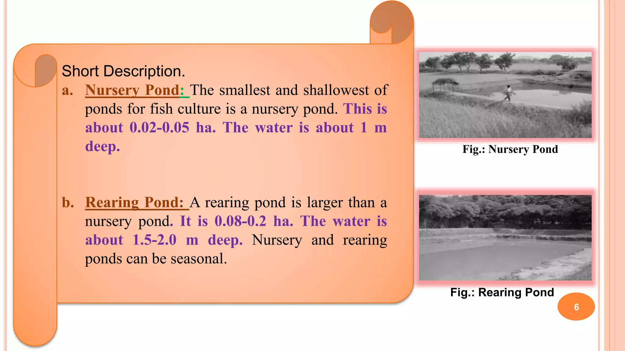 CONSTRUCTION OF FISH POND | PPTX