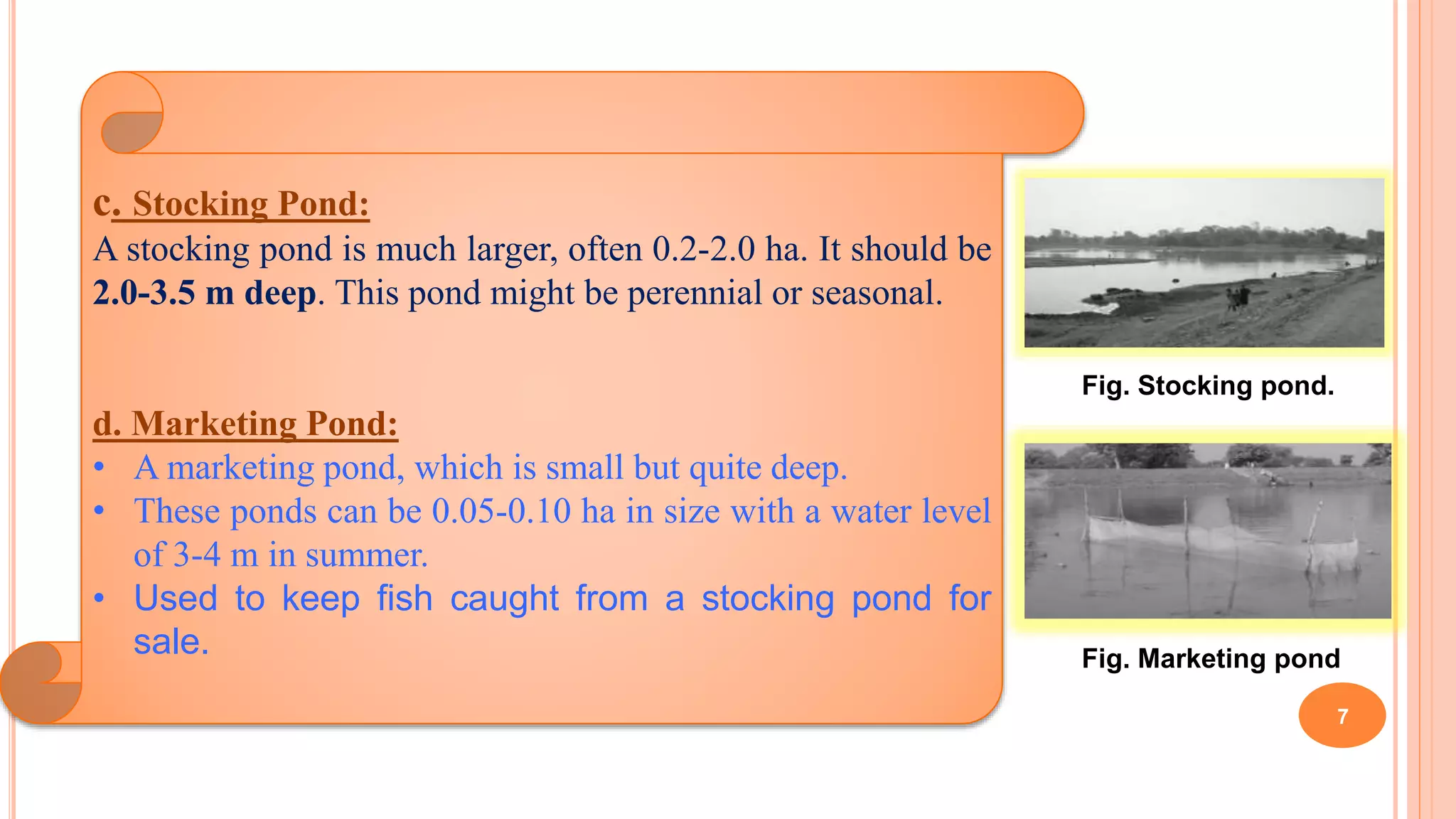 CONSTRUCTION OF FISH POND | PPTX