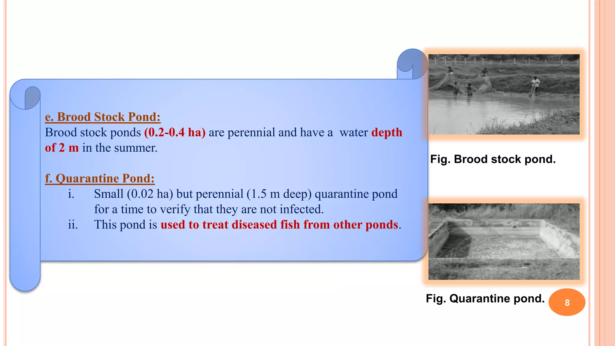 CONSTRUCTION OF FISH POND | PPTX