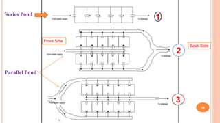 CONSTRUCTION OF FISH POND | PPTX
