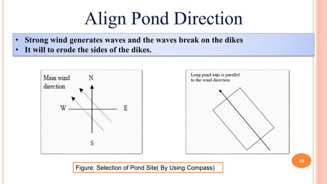 CONSTRUCTION OF FISH POND | PPTX | Fish and Aquariums | Pets